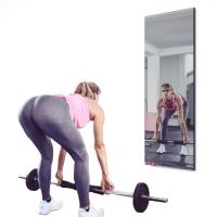 China 49 Inch Wall Mounted Smart Fitness Mirror with 500cd/m² Brightness and 10-Point Touch Screen for sale