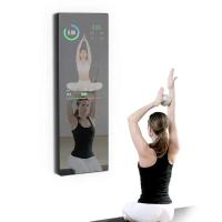 China 49 Inch Wall Mounted Smart Fitness Mirror with 500cd/m² Brightness and 10-Point Touch Screen for sale
