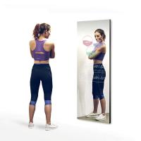 China 49 Inch Wall Mounted Smart Fitness Mirror with 500cd/m² Brightness and 10-Point Touch Screen for sale