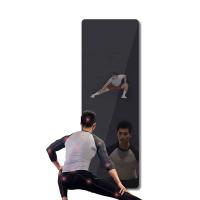 China HONGNUO 21.5 Inch Smart Fitness Mirror with AI Camera, 1920×1080 Display, 10-Point Touch for Home Gym for sale