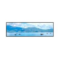 China 23.1 Inch High Brightness 450cd/m² Stretch Bar LCD Display with 1920×1080 Resolution for Supermarket Advertising for sale