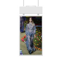 China HONGNUO 55 Inch Double Sided Hanging LCD Window Display Signage with 1920×1080 Resolution and 700 Nits Brightness for sale