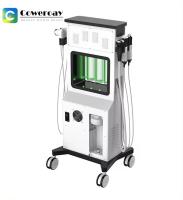 China Growskin O+ System Hydro Facial Beauty Machine 300W CE Certified for Commercial Home Use for sale