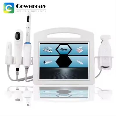 China 4 in 1 HIFU Facial Machine 300W 4MHz Focused Ultrasound Anti Wrinkle Body Slimming for sale