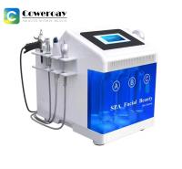 China 7 in 1 Hydra Dermabrasion Facial Machine 110V 220V Water Oxygen Jet Peel Microdermabrasion Beauty Machine for sale
