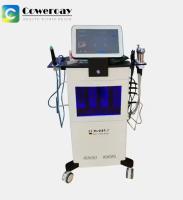 China Ldm Triple Frequency Physiotherapy Equipment Eliminating Local Acne for sale
