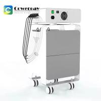 China 448khz Tecar Cet Ret Machine RF Physiotherapy Diathermy Machine for sale