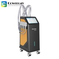 China 8 Pad 800W Cryo Fat Freezing Machine with EMS for Body Slimming and Weight Loss for sale