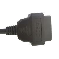 China Delphi 6P to OBD2 16P Female Diagnostic Cable 30cm with Custom Pin Assignment for sale