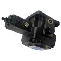 China Hydraulic Vane Pumps Vp-Sf-15-D Vp-Sf-30-D Vp-Sf-40-D   VPSF08 12 15 20 30 40 for sale