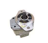China Charge Pump 9217993 9218005 9218031 4276918 307002-4210 9217993 4181700 4278696 for sale