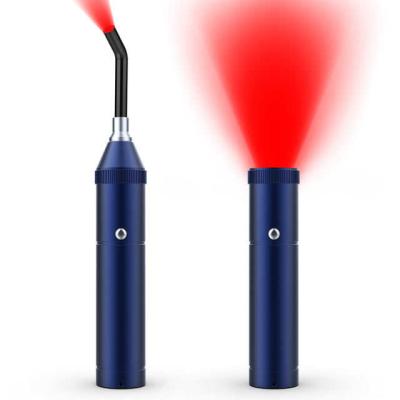 China 460nm 900nm Handheld LED Infrared Red Light Therapy Torch For Cold Sore for sale
