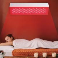 China Wall Mounted Near Infrared Light Therapy Panels 660nm 850nm For Full Body for sale