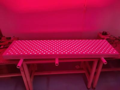 China 3000W Red Therapy Panel LED PDT Timing 660nm 850nm Red Light Therapy Device for sale