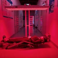 China 630 660 810 850nm Red Light Therapy Panel Beauty Care NIR Light Therapy Panel for sale