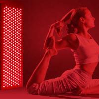 China 1500W Red Light Therapy Device 630 660 810 850nm Full Body Red Light Therapy Panel for sale