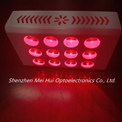 China 40W PDT Red Light Therapy Machines Anti Aging Decrease Inflammation for sale