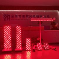 China 3000W 660nm 850nm Pulsing Red Light Therapy Panel Device With 2pcs Panels And 1pc Stand for sale