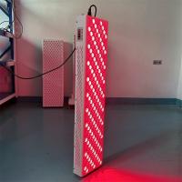 China Professional Grade 1000w Infrared Light Therapy Panel for Full Body 660nm Red and 850nm IR Dual Chip LED for sale