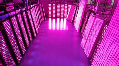 China High Power 1000W Full Body Red Light Therapy Panel with 50Hz-60Hz Frequency Range and 60° Beam Angle for sale
