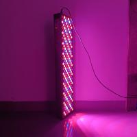 China 1000W Red Light Therapy Panel 7 Spectrums Red Light Therapy Device for sale