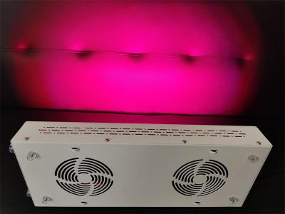 China 600w Body Care Red Light Therapy Device Red Nir Spectrum Customization For Flawless Skin for sale
