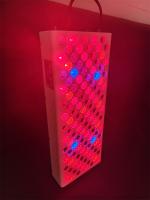 China Home Use 8 Wavelength Full Body Red Light Therapy Panel 600w for sale