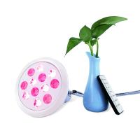 China 3 Inch Portable Red Light Therapy Device E27 Near Infrared Lamp for sale