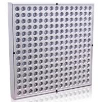 China Protable 45W 660nm 850nm Infrared Light Therapy For Feet face for sale