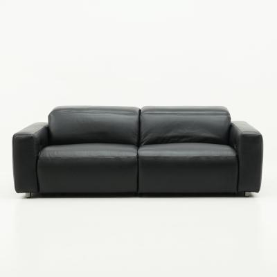 China Dual Motor Modern Reclining Couch Adjustable Headrest Footrest Stylish Reclining Sofa for sale