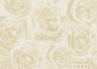 China Custom Shape PVC Decorative Film For PS Foam Frames 21micron Thickness for sale