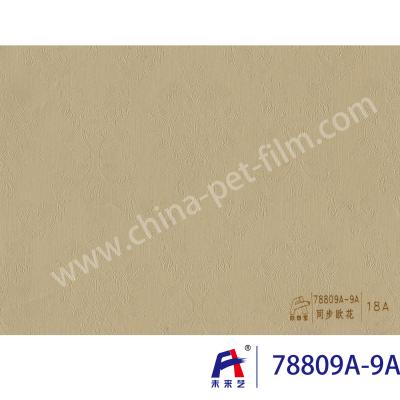 China Heat Transfer Film Decorative Wall Film Decorating PVC Plate Film for sale