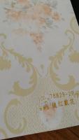 China Waterproof Colorful Interior Decoration Film High Efficiency With Modern Design for sale