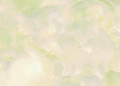 China Convenient Construction Decorative Wall Film No Paint PVC Decorative Film Exquisite Color for sale