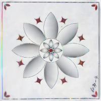 China Long Lasting Decorative PET Film Moisture Resistance Customizable Fashionable for sale