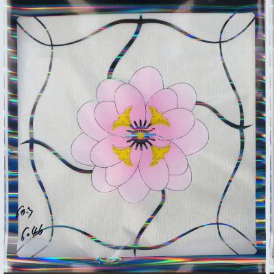China Stamping Foil Hot Stamping Film in Various Colors for Customer Requirements for sale