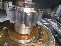 China M8/M5 Pinion/Gear for Building Hoist/Construction Elevator for sale