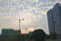 China Lifting Capacity 4ton 51m Topless Tower Crane For High Rise Building Construction for sale