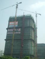 China Safety Monitor Device 6ton Fixed Tower Crane , 50m Qtz63 Tower Crane for sale
