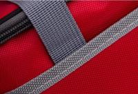 China Red 600D Polyester Cooler Bag Single Shoulder Insulated Food Bags for sale