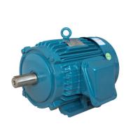 China Electrical IEC Standard Motors Cast Iron En 60034 30 1 for sale