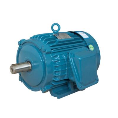 China Electrical IEC Standard Motors Cast Iron En 60034 30 1 for sale