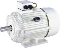China Vibration IEC Standard Motors En 60034 1 Motor Iec 34 1 Motor for sale