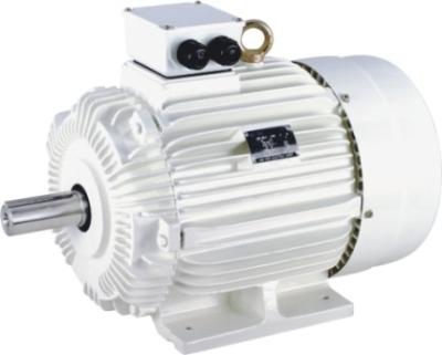 China Vibration IEC Standard Motors En 60034 1 Motor Iec 34 1 Motor for sale