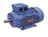China Induction IEC Standard Motors Ie5 Abb Ie4 Motor Aluminum for sale