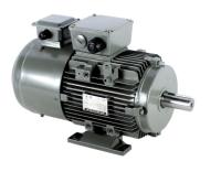 China Inverter Duty Induction Motor 3 Phase Aluminum for sale