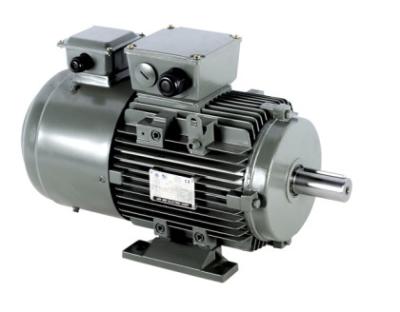 China Inverter Duty Induction Motor 3 Phase Aluminum for sale