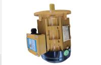 China Small Mini Electric Water Pump Motor 2 Speed 3 Phase Motor for sale