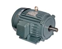 China Electric Iec Standard Motor Cast Iron Iec 60947 4 Class 10 Iec 61800 9 2 for sale
