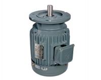 China Iec 62841 2 Iec 63 B14 Iec Standard Motor Frame Sizes 3 Phase Asynchronous Motor for sale
